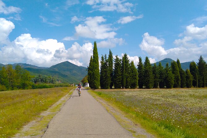 Land of painters - the origins of the Tuscan landscape - Price and Value for Money