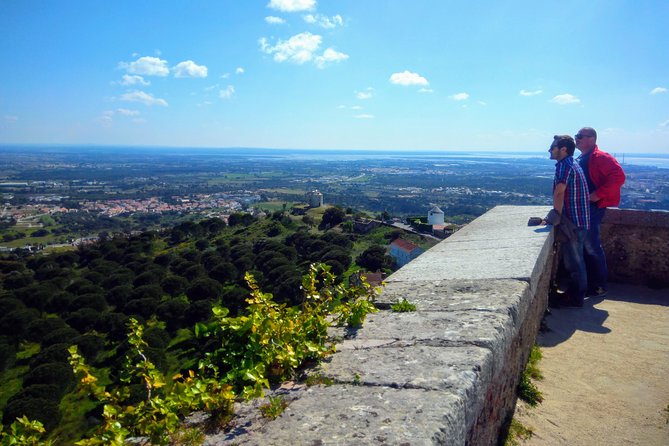 Lisbon & The South Side Wine Regions Private Luxury Tour - The Feedback from Other Travelers