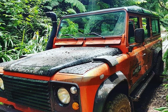 Madeira Jeep 4x4: Old Forest Full-Day Tour incl Pico Arieiro - The Experience Overall