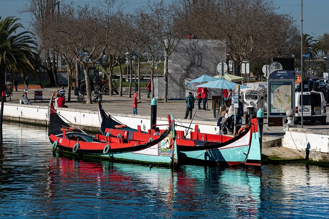 Moliceiro Boat Tour on the Ria de Aveiro - What Reviewers Say: A Mix of Praise and Caution