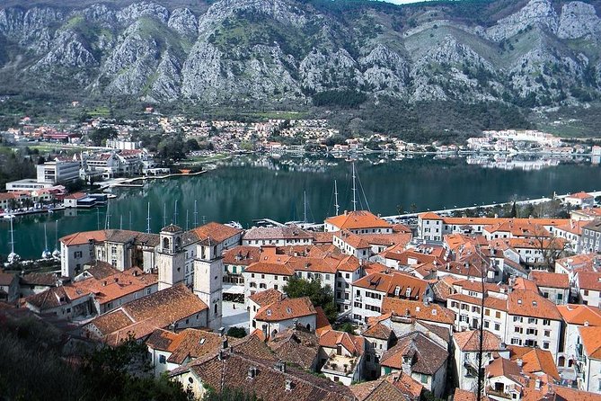Montenegro from Dubrovnik Private Tour - Pricing and Value