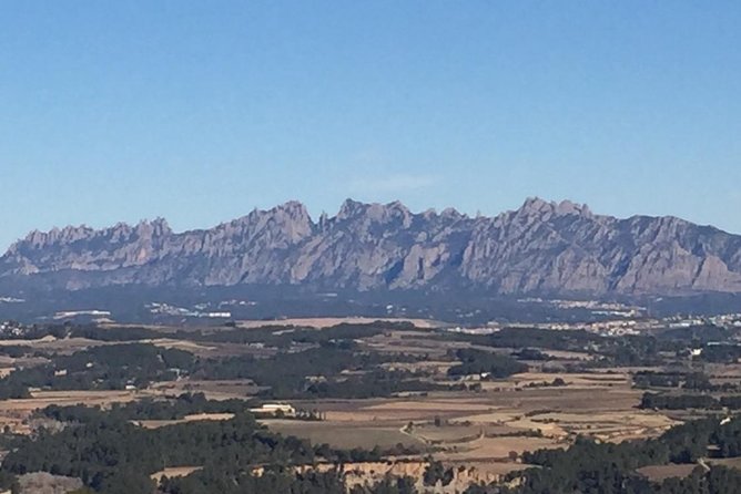 Montserrat & best winery private tour experience with a local expertise - The Sum Up: Is It Worth It?