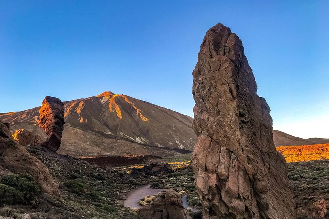 Mount Teide and Tenerife North with 5 Course Tasting Menu Private Tour - What the Reviews Say