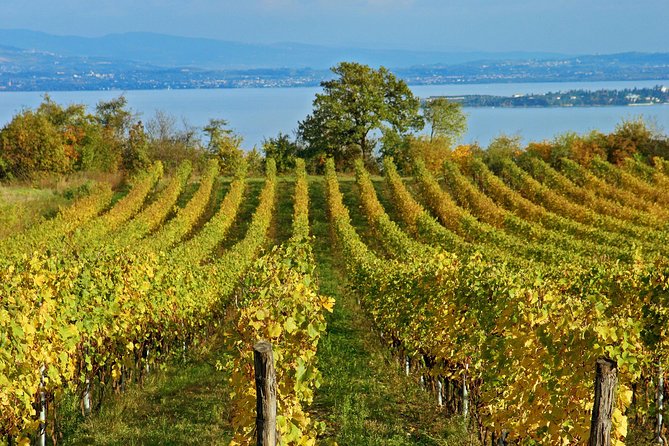 Mt Vesuvius - What’s Included and What’s Not