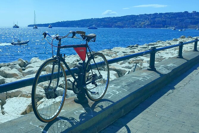 NAPLES DAYLIGHT - Day trip from Naples - Logistics and Practicalities