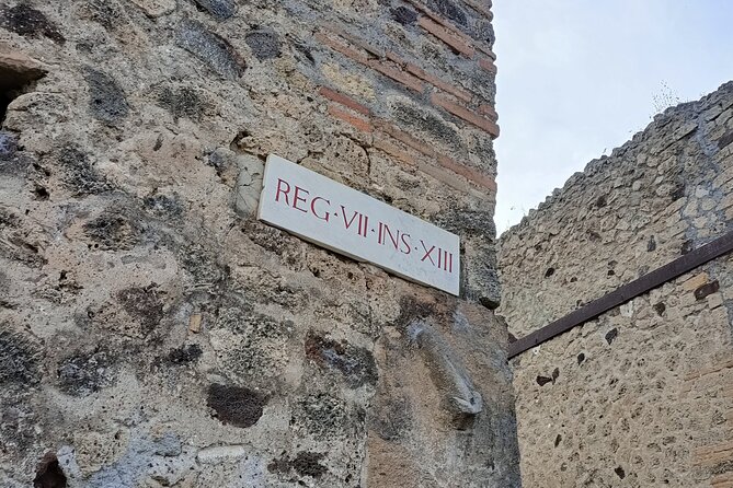 Naples transfer to Pompeii guided tour and Back - Highlights of the Pompeii Ruins