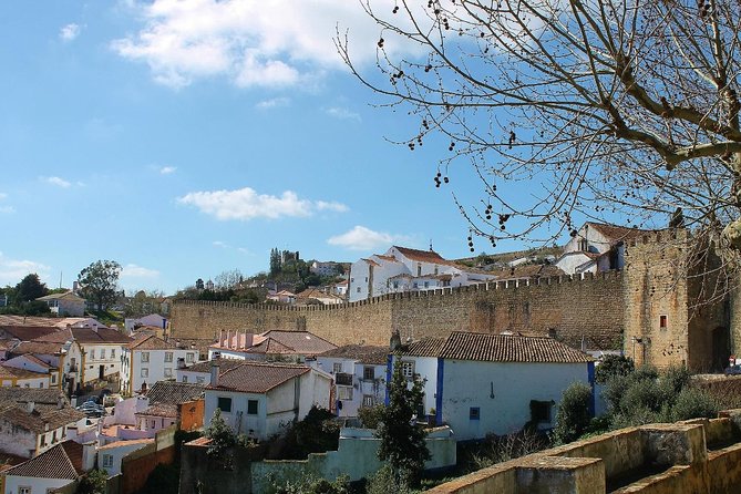 Óbidos historic village and Mafra Palace Private Tour - The Itinerary in Detail