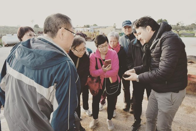 Olive Oil Experience - Practical Details for Planning Your Visit