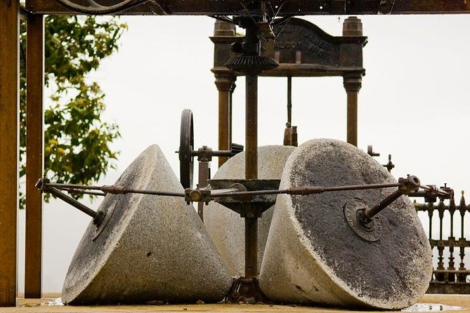 Olive Oil Farm Tour with Tasting from Seville - Why This Tour Offers Real Value