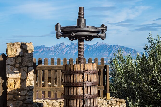 Penedes and Cava Winery Small Group Tour - Why This Tour Resonates