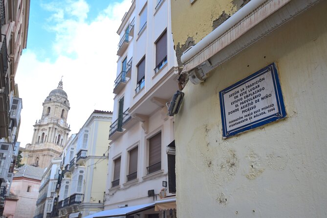 Picasso roots Private Walking Tour in Central Malaga - Who Should Book This Tour?