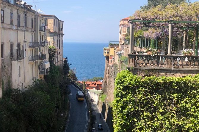 Pompei & Amalfi Coast Day Tour from Rome - Who Will Love This Tour?