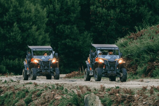 Premium Buggy Experience in Ponte de Lima - What the Reviews Say