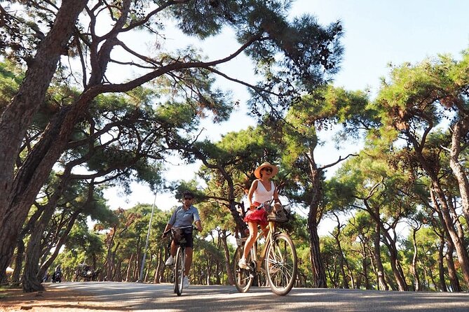 Princess Island Tour Full Day with Lunch - Return and Shopping in Istanbul