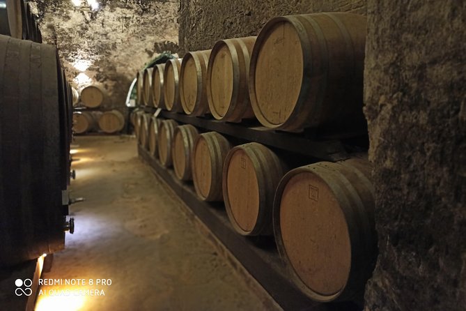 Private Art & Wine Tour in Cortona & Montepulciano, with lunch & 2 wine tastings - Final Thoughts