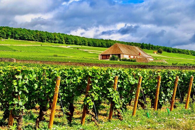 Private Burgundy 3 Domaines Chateau Pommard Chablis 15 Wines Trip - Who Should Consider This Tour?