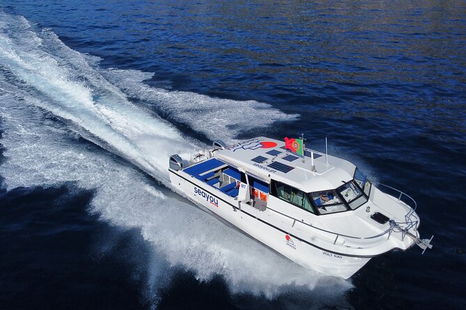 Private Cruise to Calheta and Caniçal Coasts - Who Will Love This Tour?