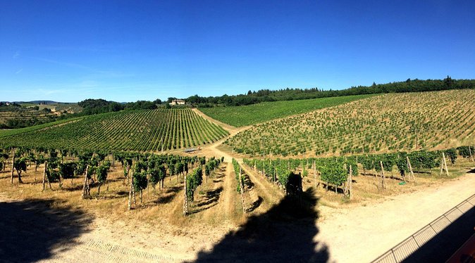 Private Day Trip to Siena and San Gimignano from Rome - The Experience: What Travelers Can Expect