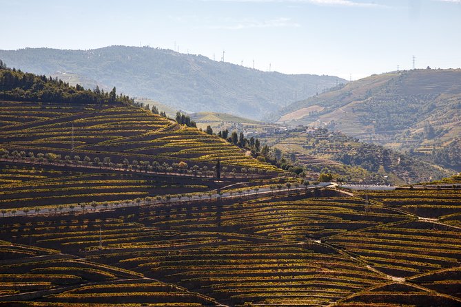Private Douro 4x4 Adventure from Porto - The Experience: Why Travelers Love It