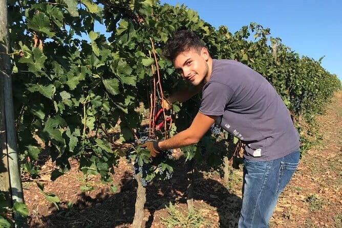 PRIVATE Full-Day Wine Experience in Chianti Classico. - Exploring Panzano in Chianti and Beyond