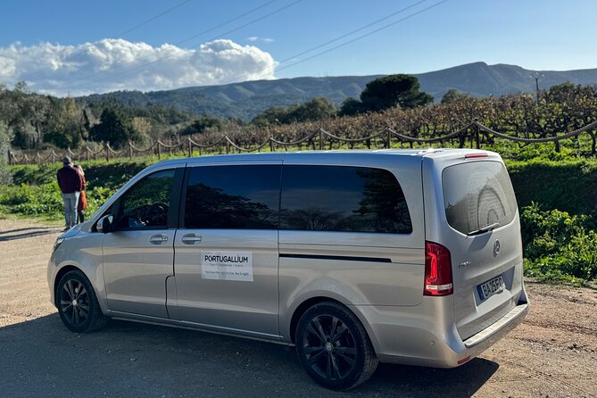 Private Full-Day Wine Tour Arrábida from Lisbon with Tastings - Who Would Love This Tour?