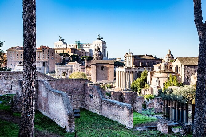 Private Guided Tour in the Colosseum and Ancient Rome - Who Should Book This Tour?