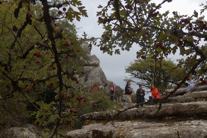 Private Guided Tour to Torcal de Antequera - Frequently Asked Questions