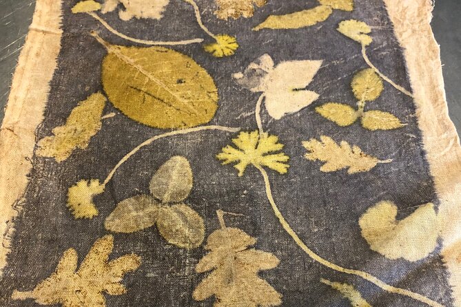 Private Introduction to plant color in Forcalquier in Provence - The Experience: What Travelers Say