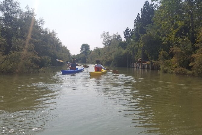Private Kayak Tour in the Venetian Lagoon - The Sum Up