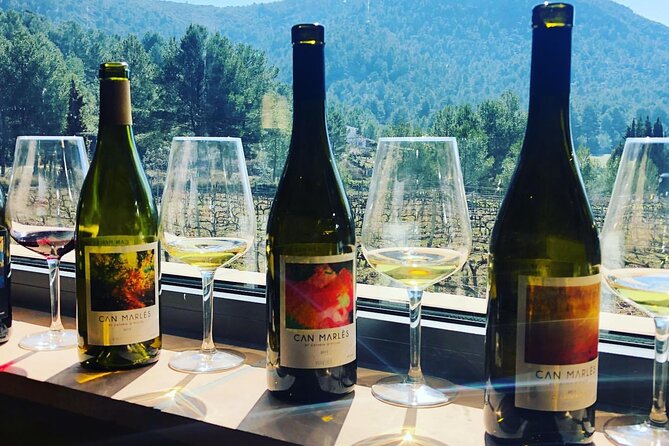 Private Tour - Hike and wine tasting at the Penedés - Final Thoughts: Who Will Love This Tour?