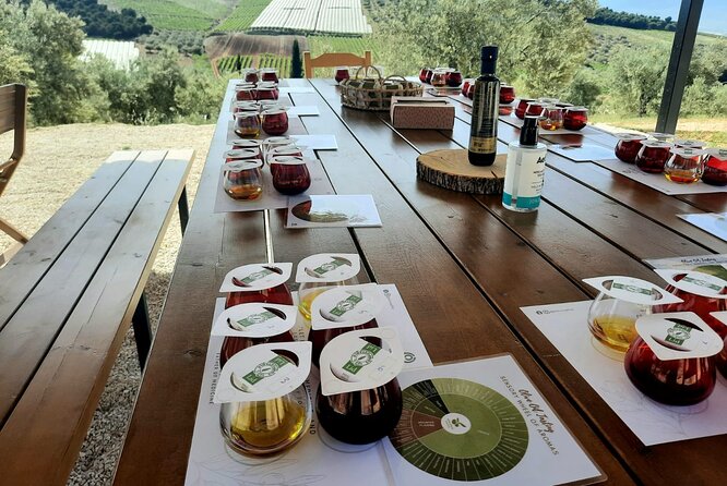 Private tour in Nafplio with Olive oil Tasting Tour in Corinth - Highlighted Reviewer Quotes