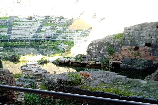 Private tour of Catania and the Riviera of the Cyclops - What’s Included and How That Elevates Your Experience