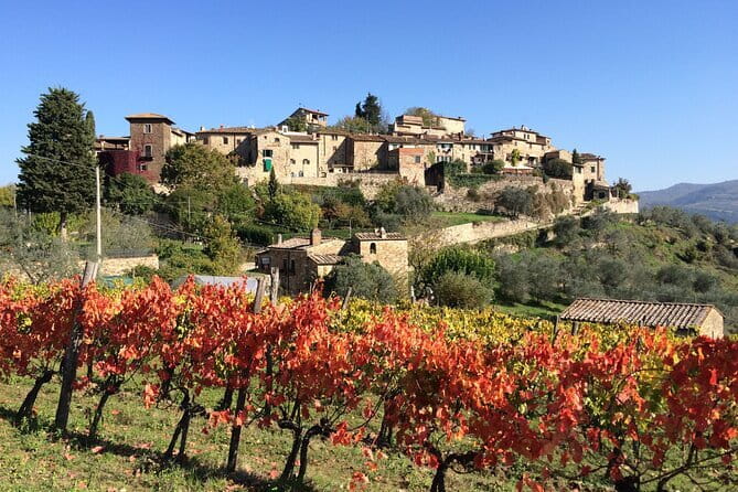 Private Tour of Chianti Siena and San Gimignano by Minivan - FAQ