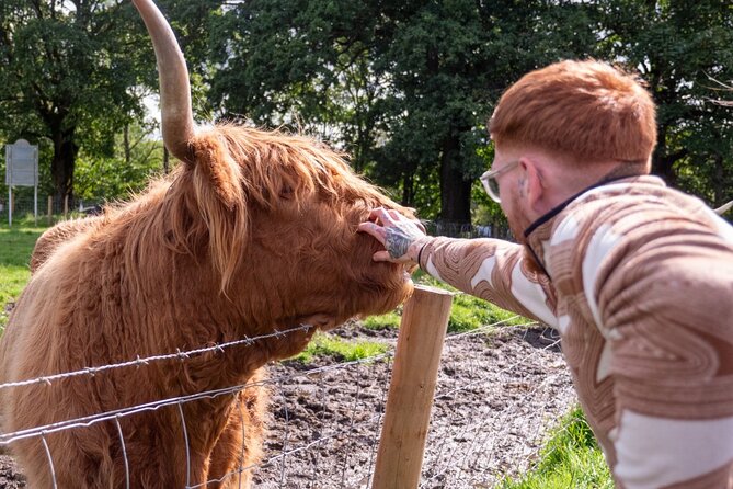 Private Tour of Scottish Highlands, Loch Lomond and castles - What Travelers Say