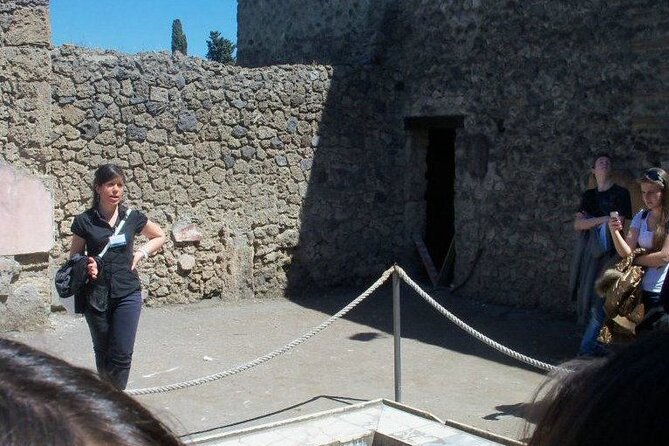 Private tour of the Pompeii excavations - Authentic Reviews From Past Travelers