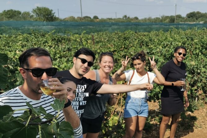 Private tour to Krka waterfalls- Lunch included - Final Thoughts: Is It Worth It?