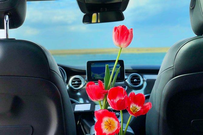 Private Tour to Windmills Zaanse Schans +Keukenhof - 7 Hours - Noordwijkerhout: A Quick Peek at Tulip Fields