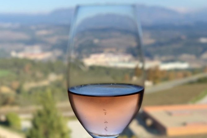 Private Tour: Top Three Organic Wineries & Local Lunch Included - Authentic Experiences and Positive Feedback