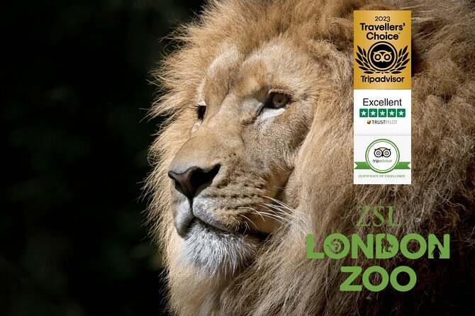 Private Transfer between London & Tilbury Cruise Terminal / Hotel - Who Will Love This Service?