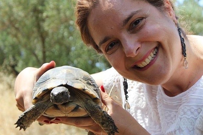 Private Walking Tour- 3000 years of History around the Acropolis Rock - Summary