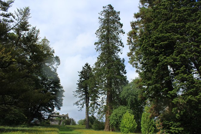 Private Wicklow Mountains Day Tour - Final Thoughts