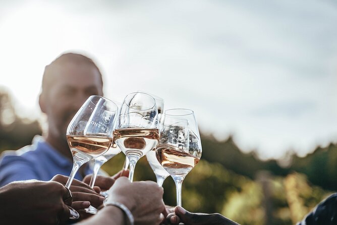 Provence Wine Tour - Private Day Tour from Antibes - Why Travelers Love This Experience