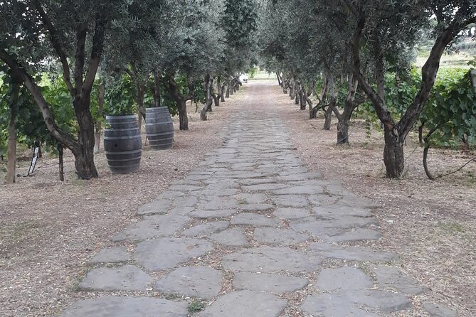 Rome Countryside Vineyards and Wine Tasting - Private Tour - Practicalities and Considerations