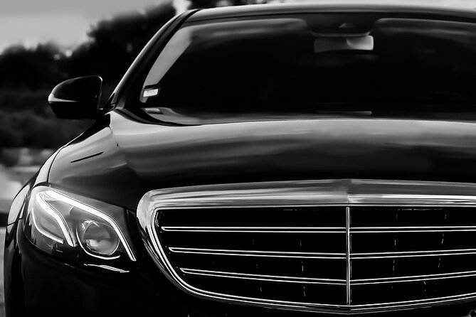 Rome Hotel to Civitavecchia Cruise Ship Port Private Transfer - What Travelers Say