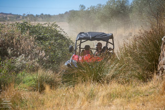 ROUTE IN BUGGY 2,00h - Is the Price Worth It?