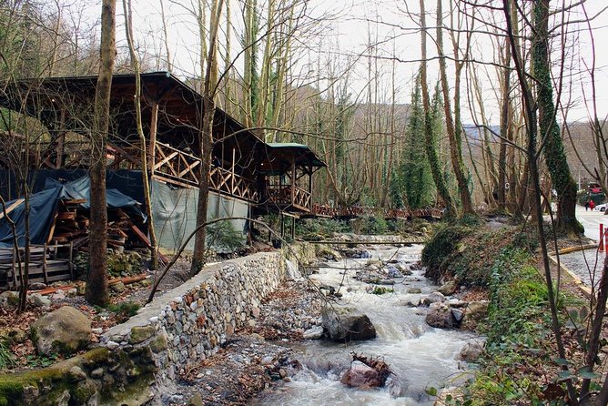 Sapanca And Masukiye Tour With Lunch - Full Day - Who Will Enjoy This Tour?