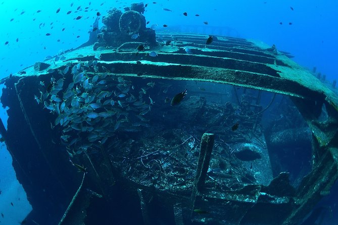 Scuba Diving - What to Expect on the Tour