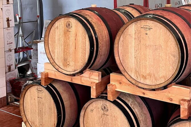 Sex, Drugs & the Renaissance in Florence - Final Thoughts