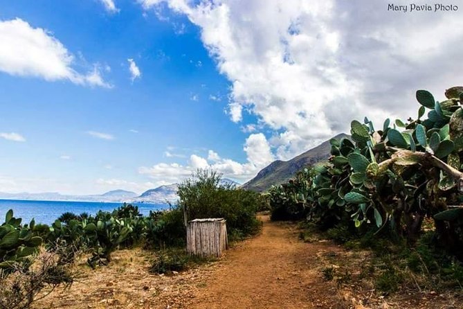 Shuttle Bus Riserva dello Zingaro - Transportation and Practical Details