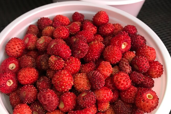 Small Group Corfu Gastronomy Tour - Authentic Experiences That Stand Out